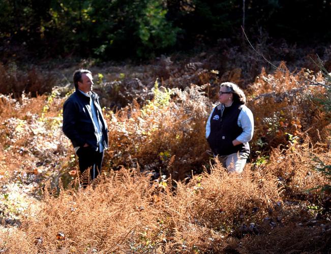 Life Forest: A unique cemetery in the woods of Hillsborough | Human ...