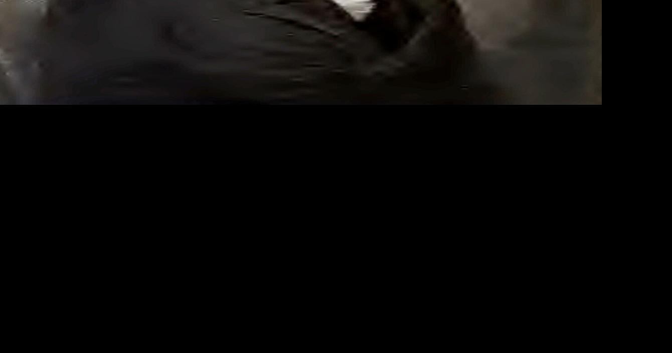 Looking Back: New Hampshire Congressman Daniel Webster Moves to Boston ...