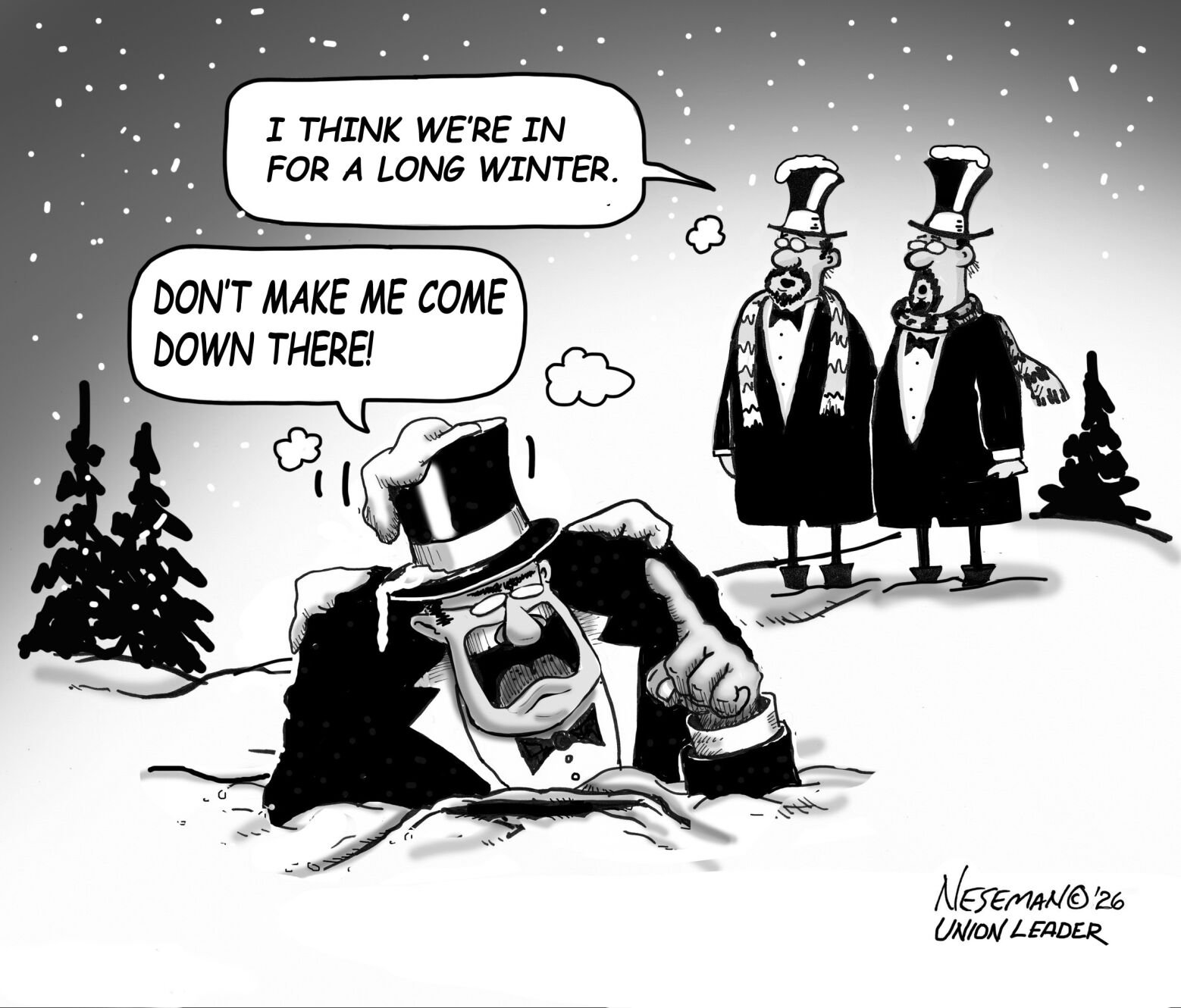 Editorial Cartoon: Dale Neseman | Cartoons | unionleader.com