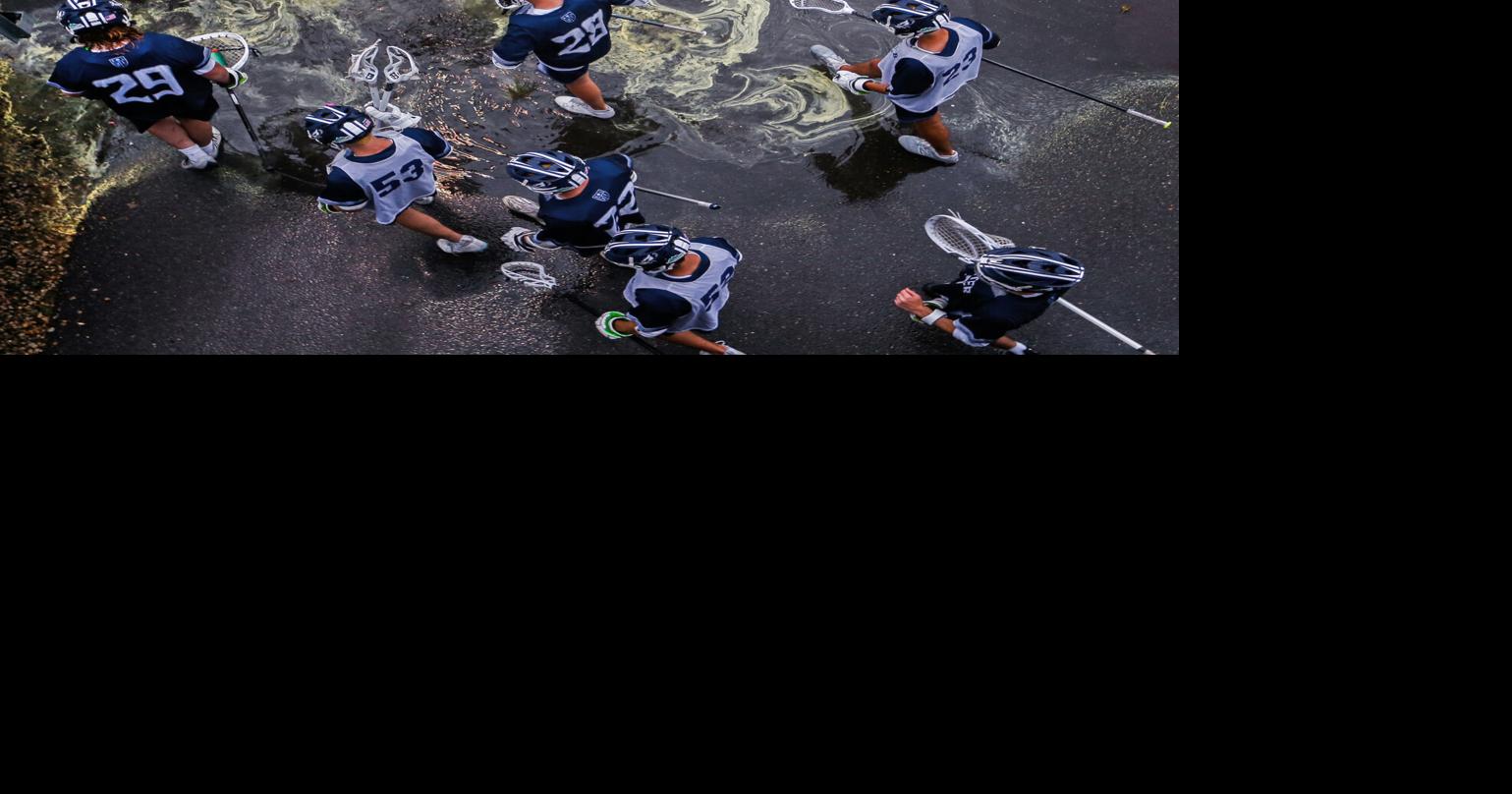 Puddles of pollen (copy) | | unionleader.com