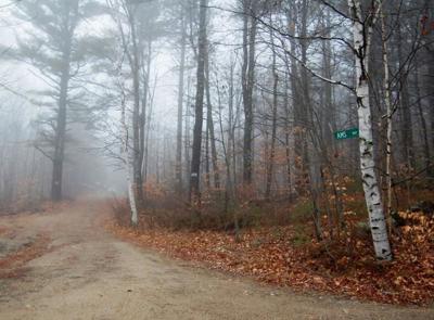 Trial of woman, 70, in shooting death of Effingham man delayed over ...