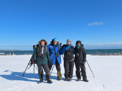 Bird lovers flock to Superbowl of Birding | Animals | unionleader.com