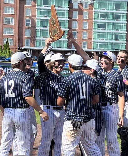 Division III baseball championship: Deming's 2-hitter lifts White ...