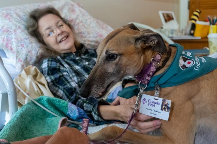 Dogs brighten dark times with therapy visits to hospice house | Animals ...
