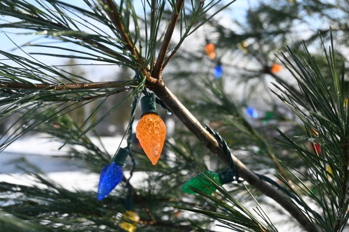 Chester gives Christmas tree some love after online criticism ...