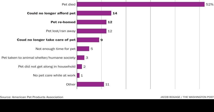 People are giving up pets. Blame inflation. | Animals | unionleader.com