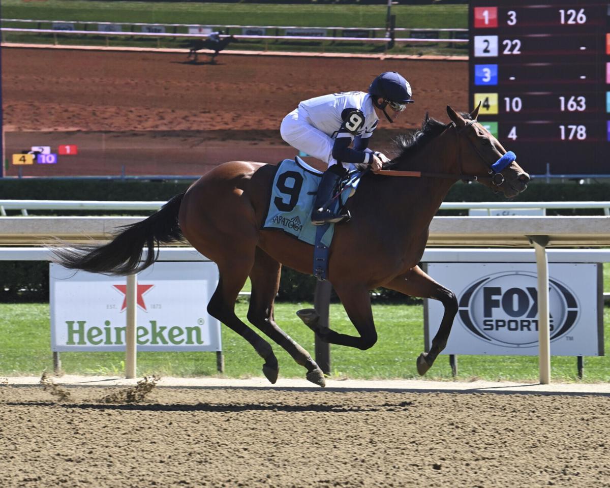 Gatsas Stables’ ‘Girl’ sitting pretty for Breeders’ Cup | Sports ...