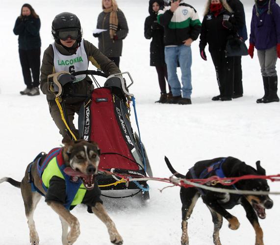 Sled dogs take center stage in Laconia derby | Animals | unionleader.com