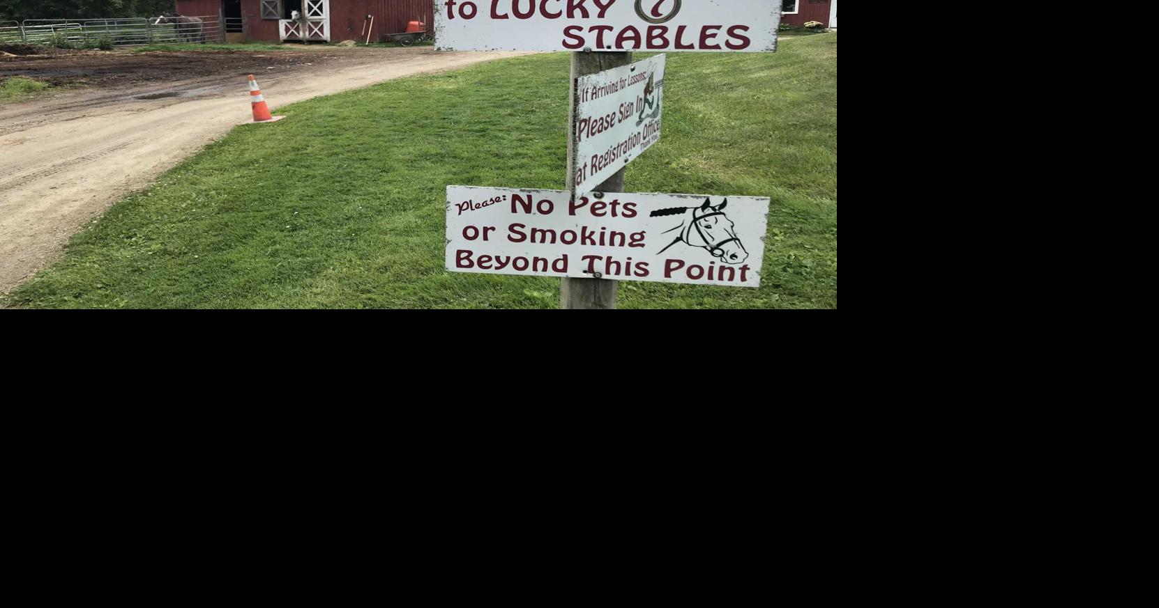 900-pound horse tramples woman at Lucky 7 Stables in Londonderry ...