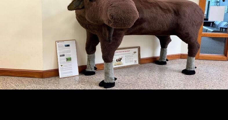 Max the Moose welcomes visitors to the Department of Education ...