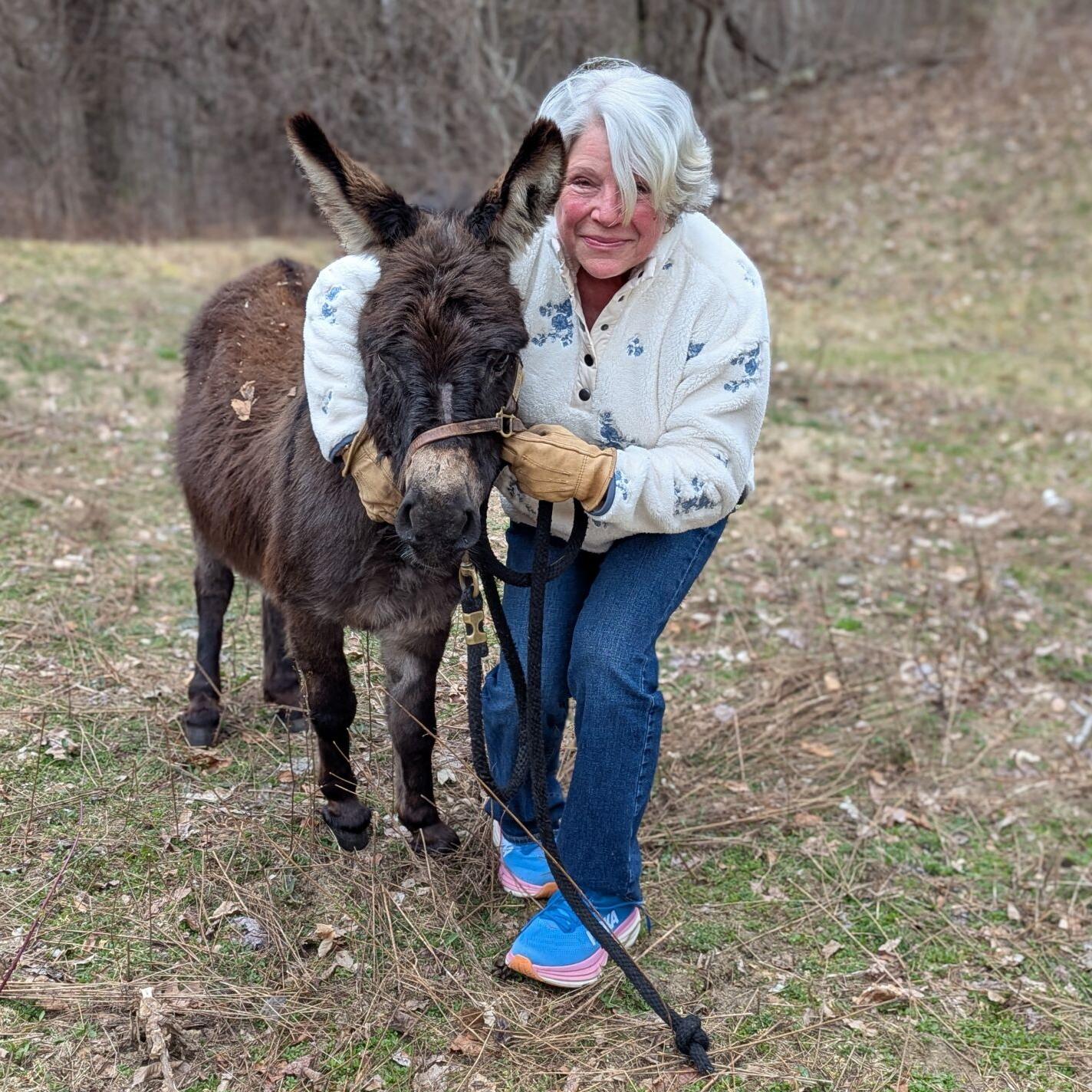pet donkey went missing