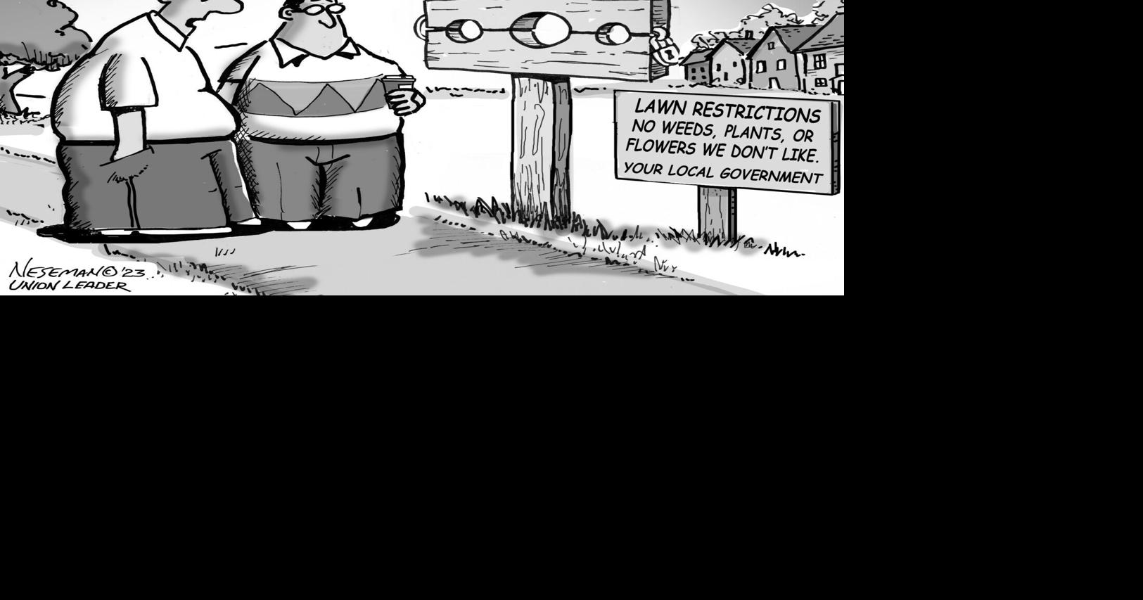 Editorial Cartoon: Dale Neseman | Cartoons | unionleader.com