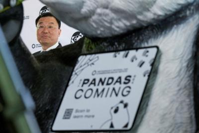 China to send two young giant pandas to Washington later this year ...