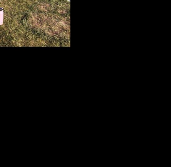 High school roundup: Londonderry girls top Pinkerton; Astros' Doyle 2 ...