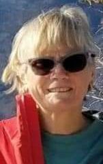 Donna Chick: Let conservative lawmakers know you've got their back | Op ...