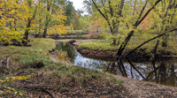 Purchase of 1,300 acre wildlife habitat goes before Executive Council ...