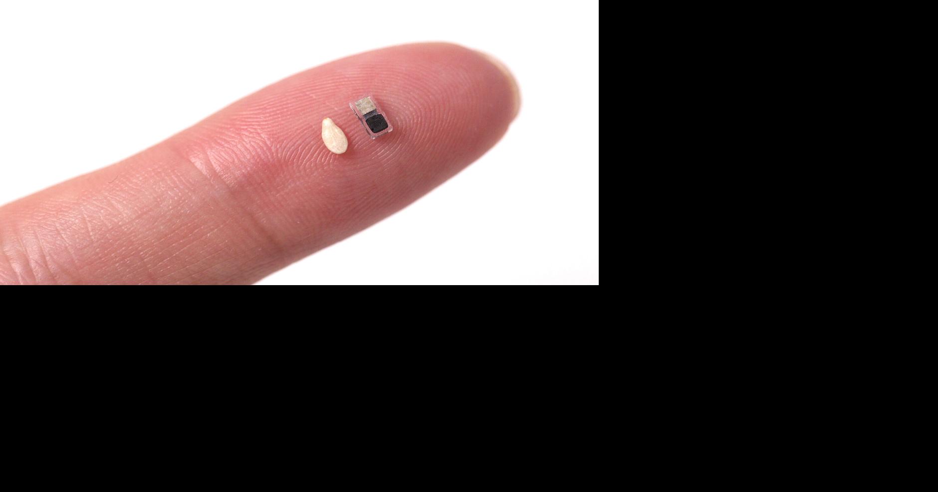 Engineers develop tiny pacemaker, smaller than a grain of rice | Health ...