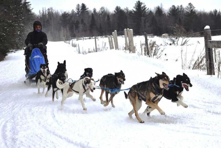 Snowmachine strikes dog of New Hampshire musher during Iditarod ...