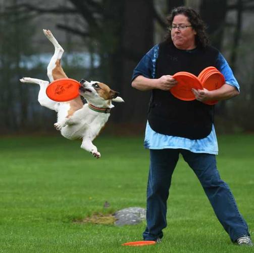 Hopkinton residents organize Disc Dogs demonstration to raise funds for ...