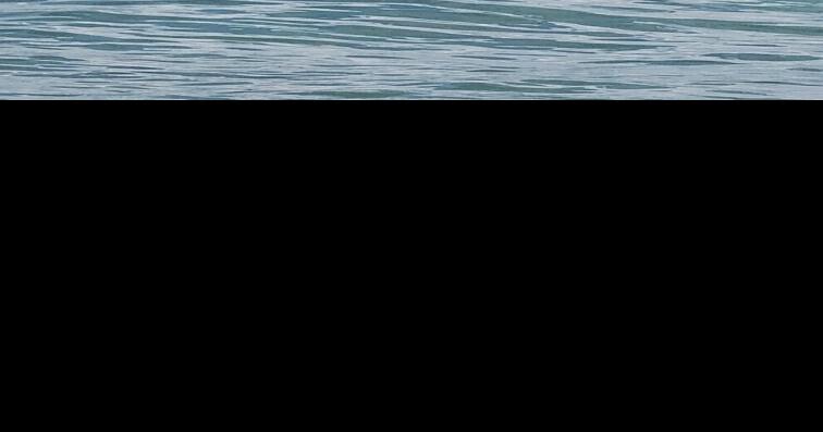 Surf's up! | Human Interest | unionleader.com