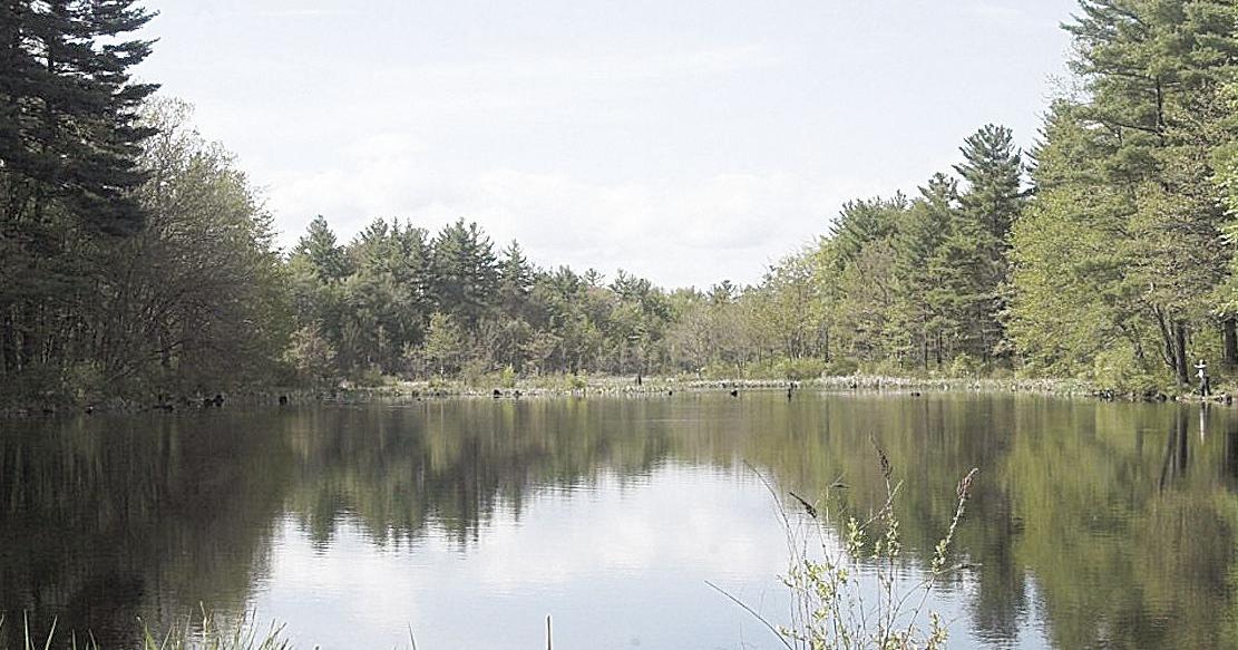 The rise and fall of Londonderry's Adams Pond | Outdoors | unionleader.com
