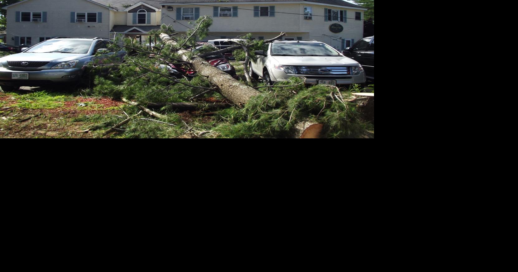 Microburst downs trees in Lakes Region Wednesday | Public Safety ...