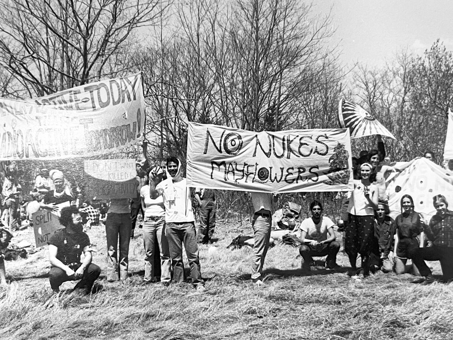 marsh elders 3 letters