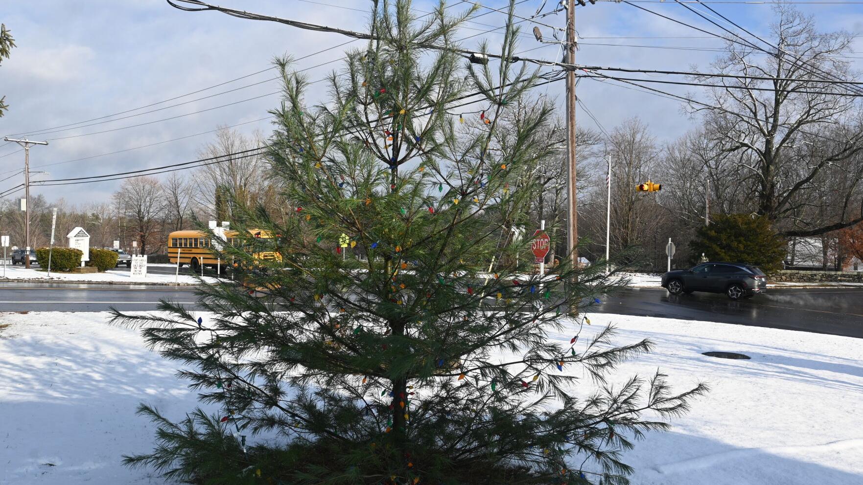 Chester gives Christmas tree some love after online criticism ...