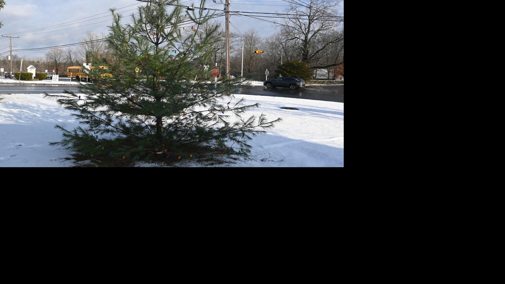 Chester gives Christmas tree some love after online criticism ...