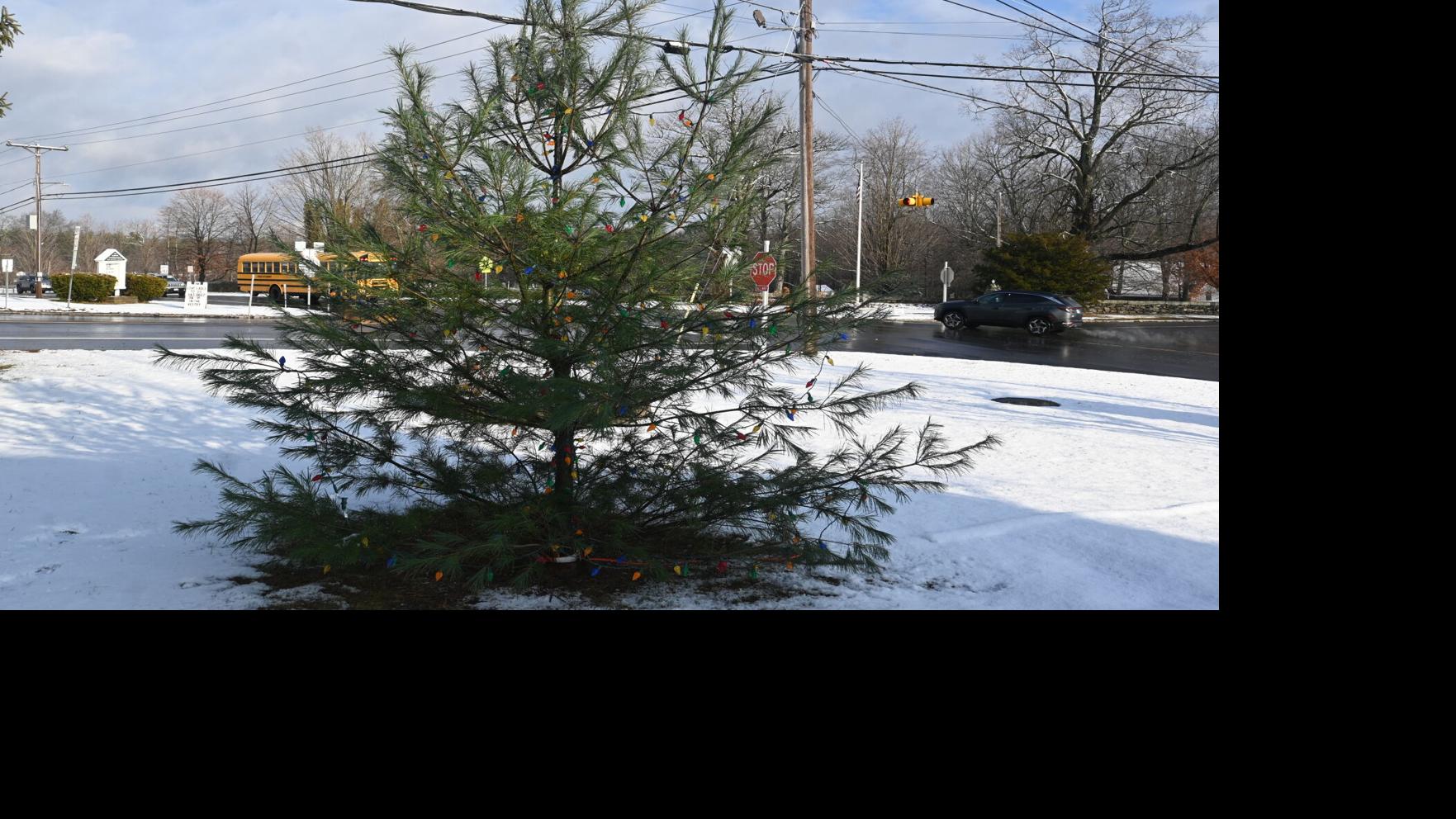 Chester gives Christmas tree some love after online criticism ...