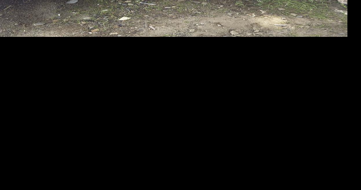 Derry's flag collection box is back | People | unionleader.com