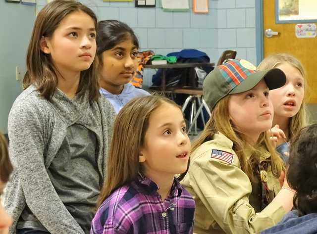 NH Cub Scouts officially opens doors to girls, but individual dens will ...
