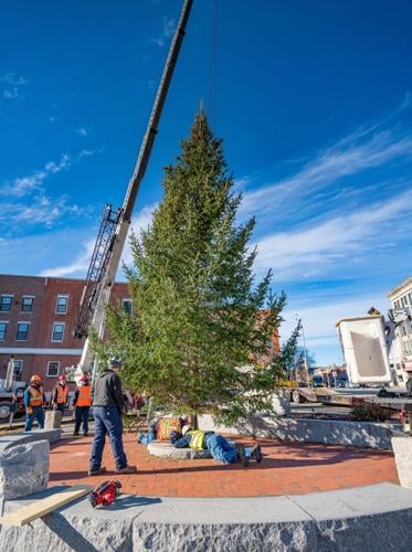 Dover's Christmas Tree is in place at Henry Law Park | Human Interest ...