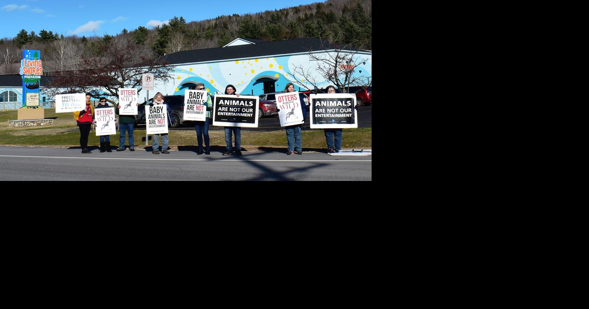 Animal-rights protesters target Living Shores Aquarium at Story Land ...