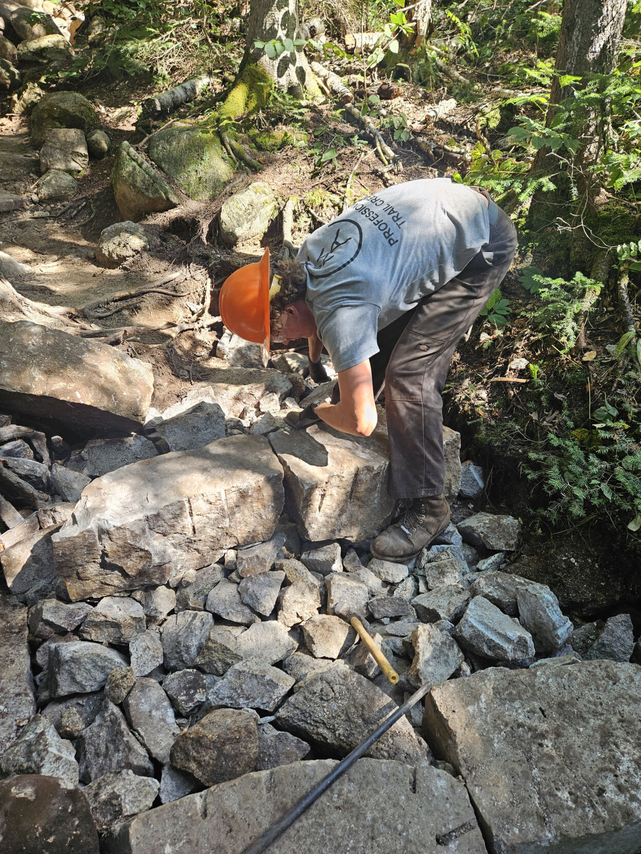 High-altitude restoration on Franconia Ridge | Outdoors | unionleader.com