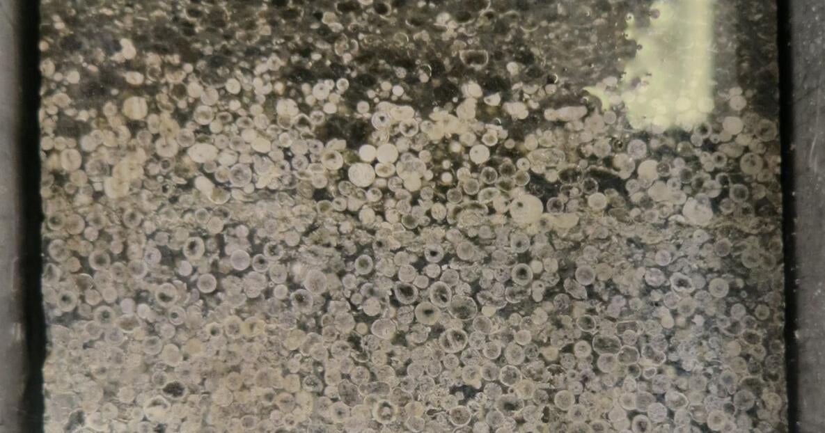 Ancient meteorite was 'giant fertilizer bomb' for life on Earth | Back ...