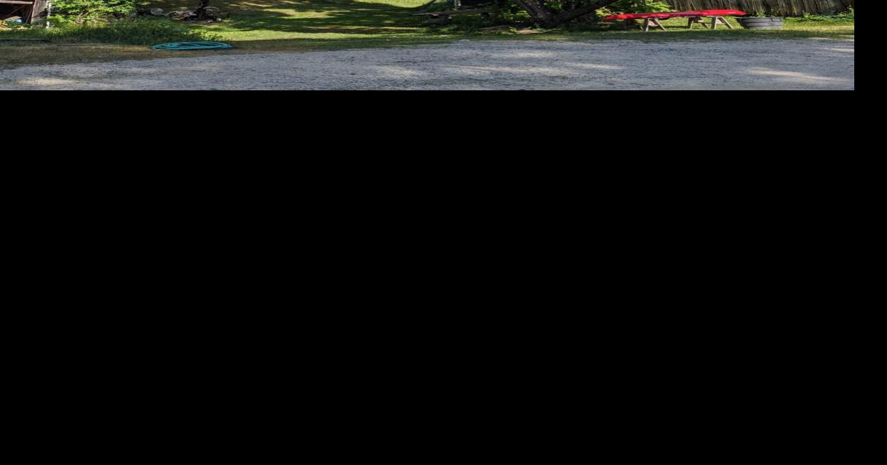 Cheryl Kimball Nature Talks: Trees become like family | Outdoors ...