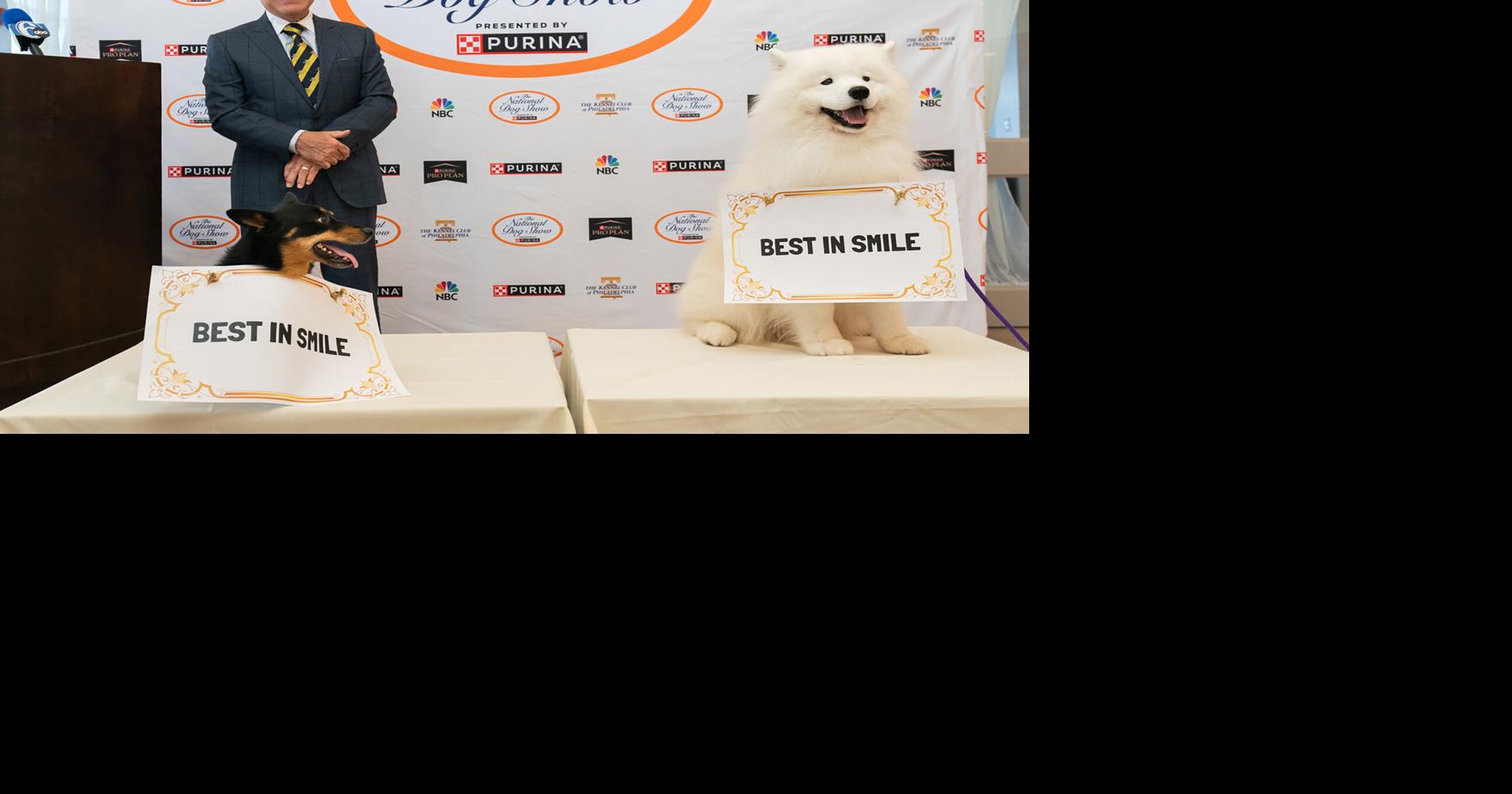 Dogs competed in a ‘smile-off’ contest at the National Dog Show preview ...
