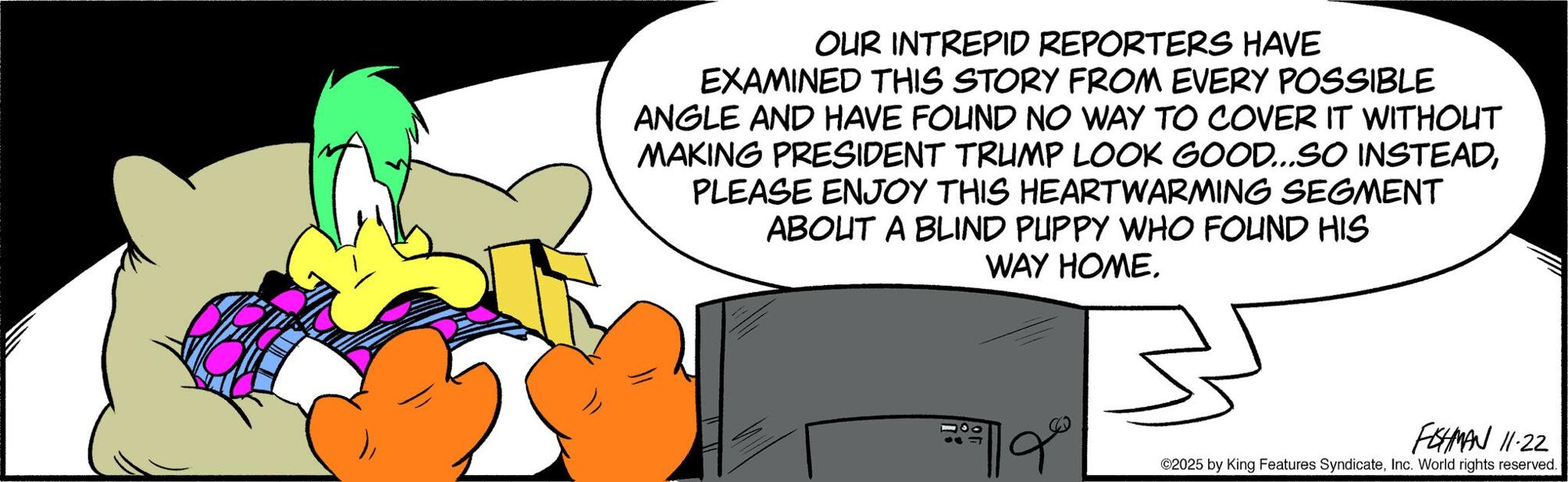 Editorial Cartoon: Mallard Fillmore | Cartoons | unionleader.com