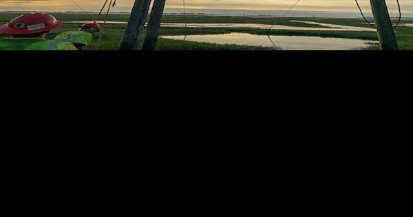 Power line crew swoops in to rescue osprey eggs | Animals | unionleader.com