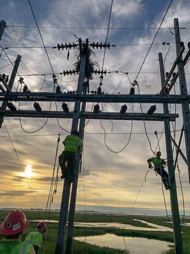 Power line crew swoops in to rescue osprey eggs | Animals | unionleader.com