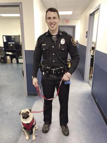 Rochester police officer's picture with pug goes viral | Animals ...