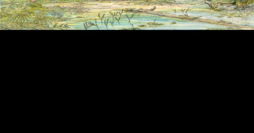 Scientists discover neck, skull fossils of titanosaur in Argentina ...