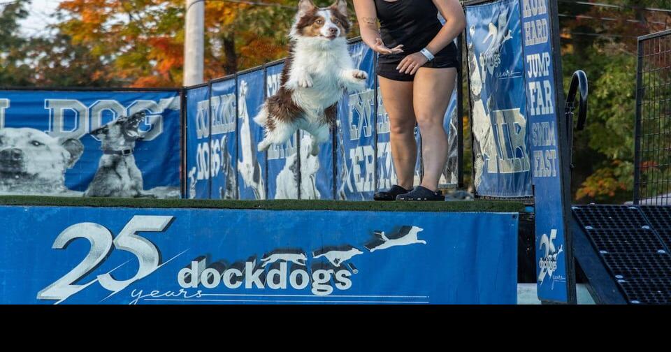 What is Dock Dogs? Dog-jumping competition visits Topsfield and ...