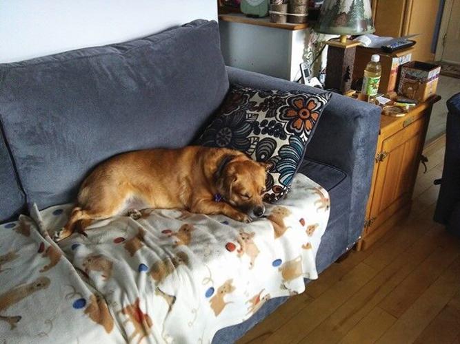 Heloise: Dealing with inflation | Human Interest | unionleader.com