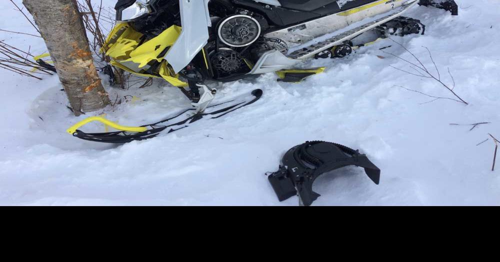 Tree hit by snowmobile for second time in less than a week | Public ...