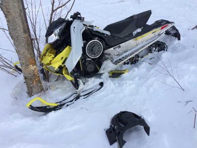 Tree hit by snowmobile for second time in less than a week | Public ...