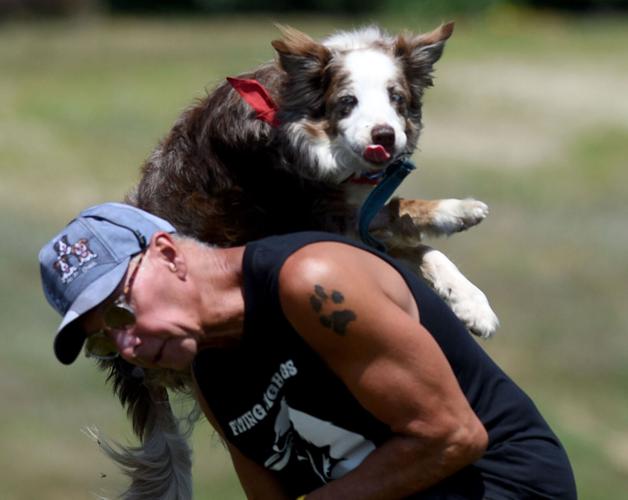 Flying High Dogs | Derry & Londonderry | unionleader.com
