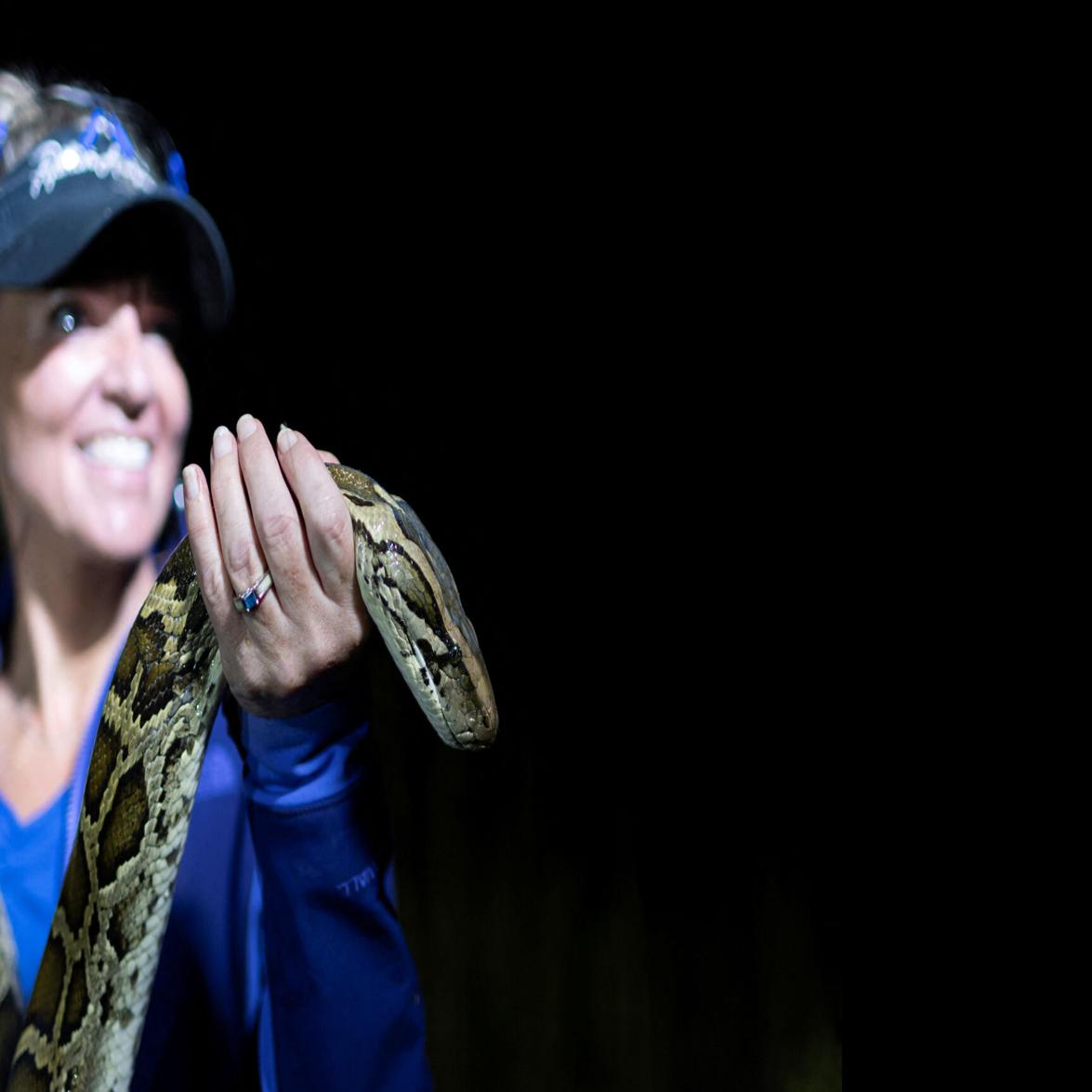 python snake hampshire