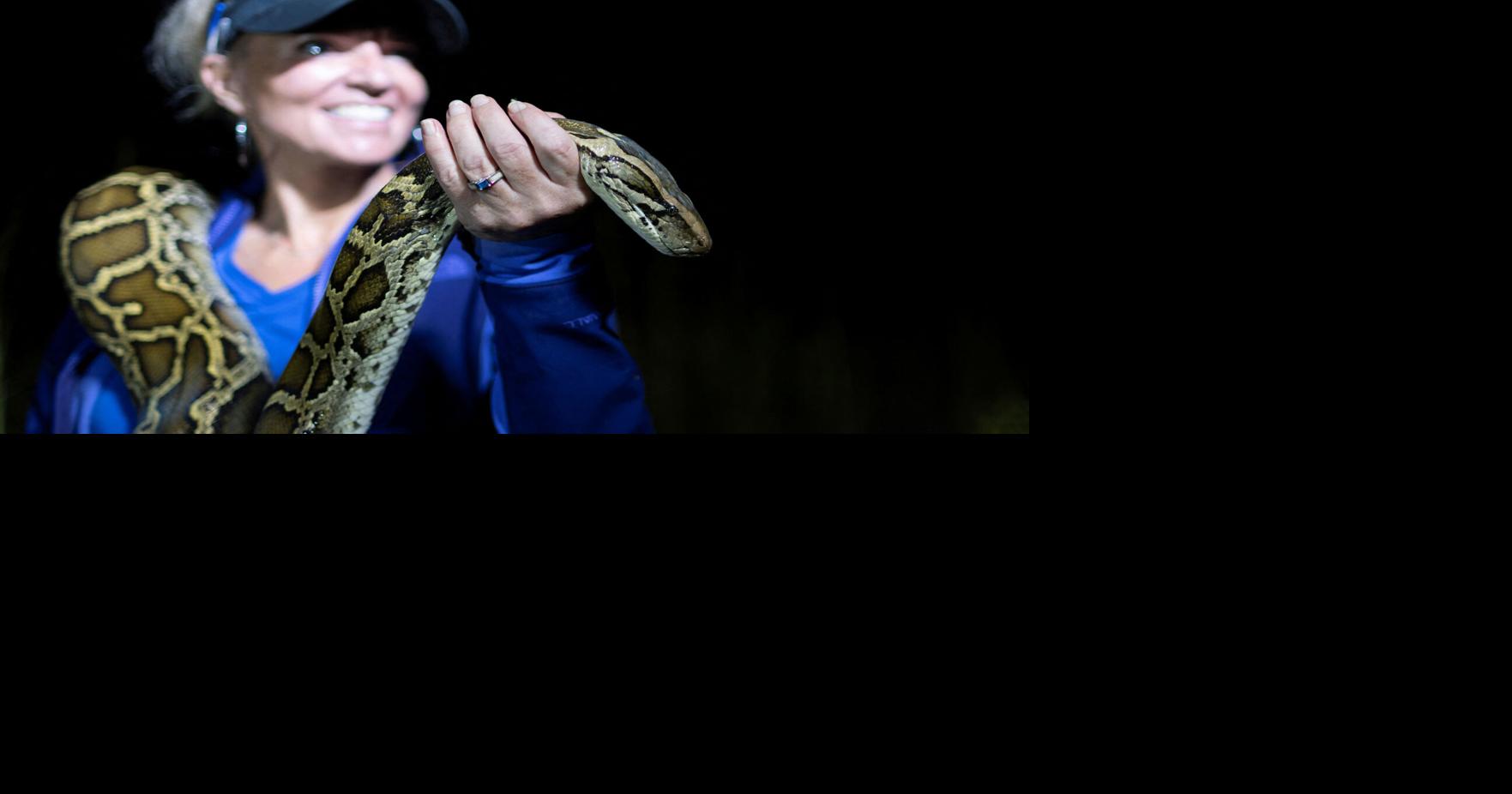 'Python Huntress' takes on invasive snakes in the Everglades | Animals ...